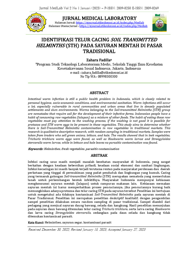 Kontaminasi Cacing STH di Sayuran Mentah | PDF