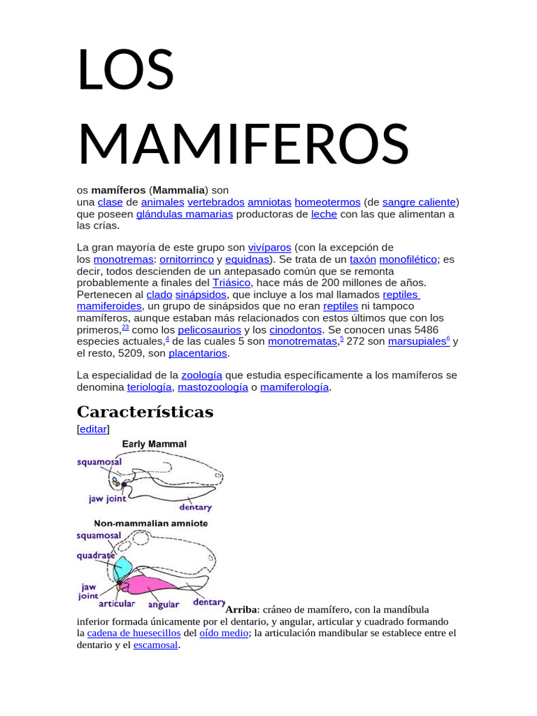 Los Mamiferos | PDF | Mamíferos | Piel