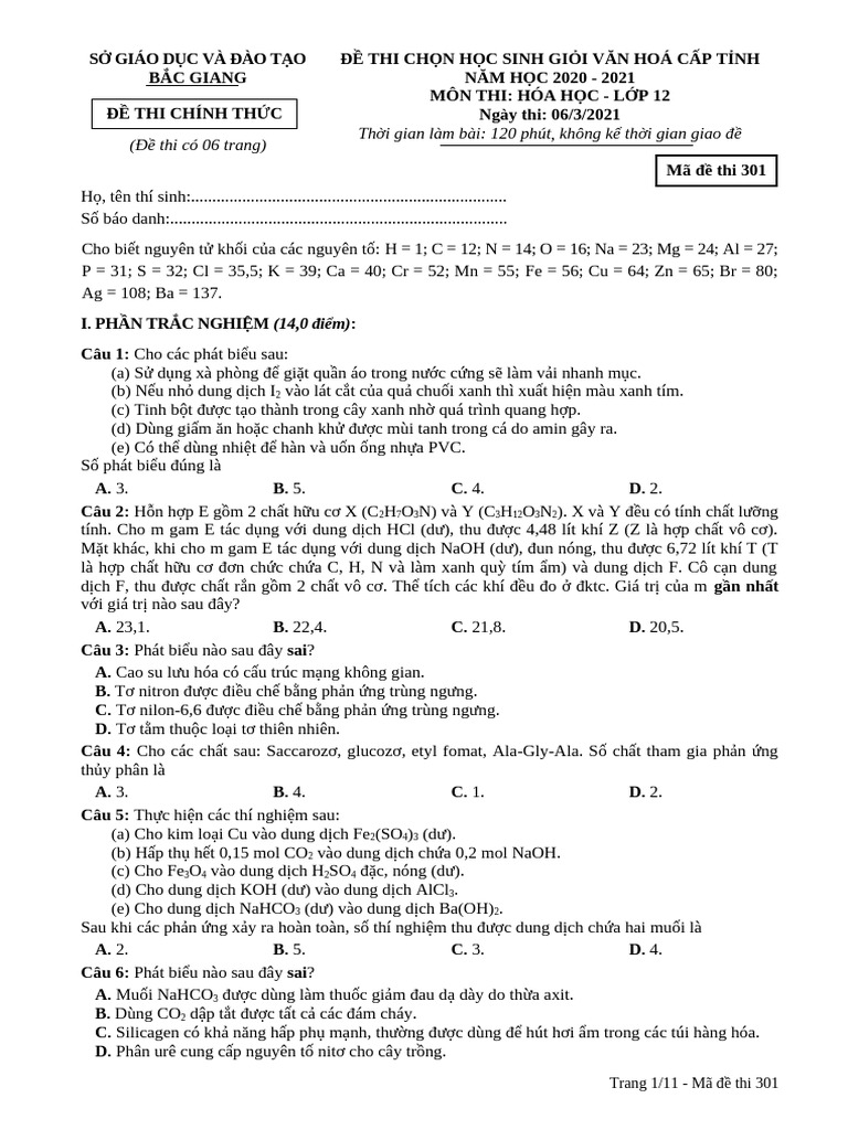 HSG 12 BẮC GIANG 2020-2021 | PDF