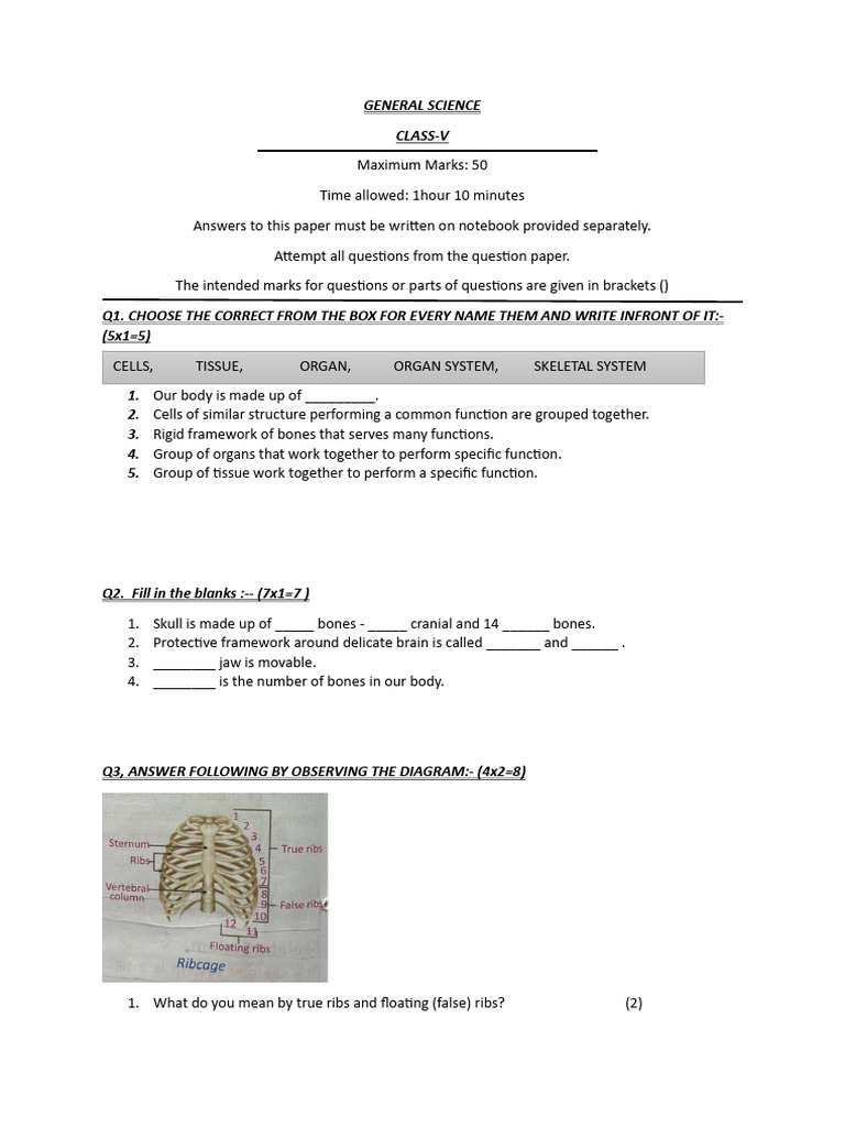 GSC Class V Test CH-8 Skeletal | PDF | Muscle | Anatomy