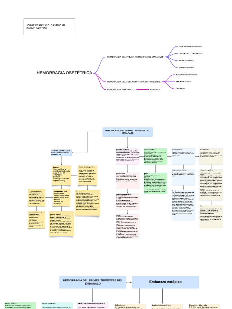 Mapas Conceptuales Modulo 1 Hemorragia Obstetrica | PDF | El embarazo | Aborto