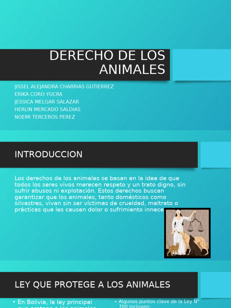 Derecho de Los Animales | PDF | La violencia contra las mujeres ...