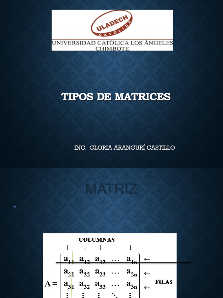 Tipos de Matrices | PDF | Matriz (Matemáticas) | Multiplicación