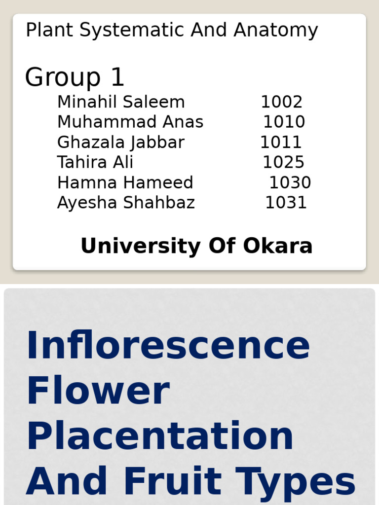 plant systematics | PDF | Flowers | Fruit