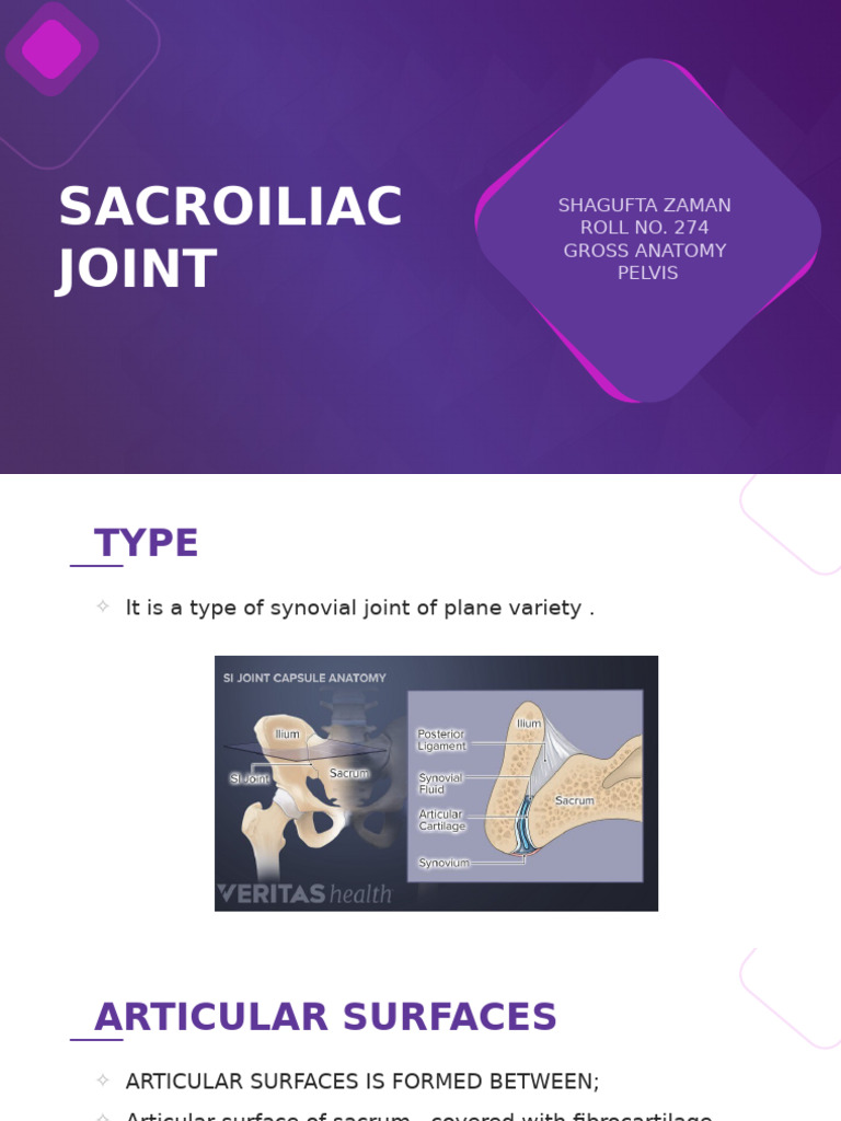 Sacroiliac Joint Anatomy and Function | PDF