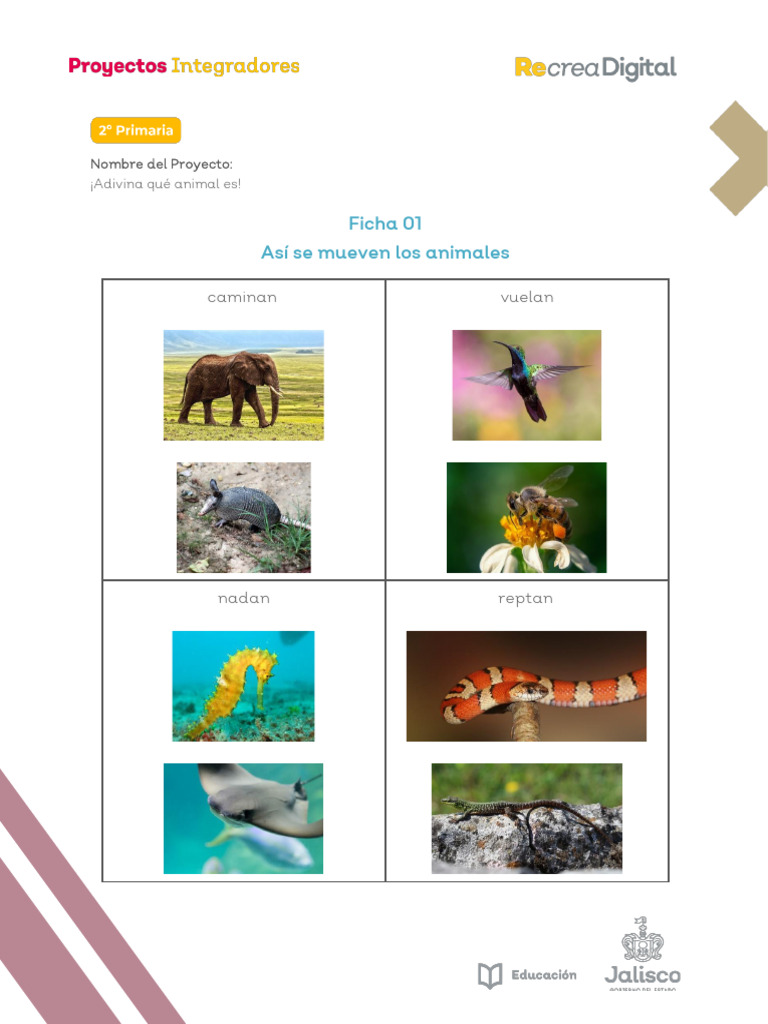 Ficha 01 - Asi Se Mueven Los Animales | PDF | Libros para adolescentes