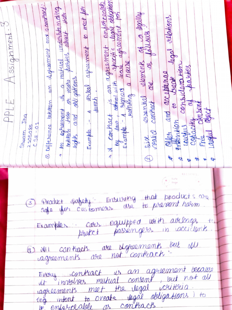 Pple Assignment-3 | PDF