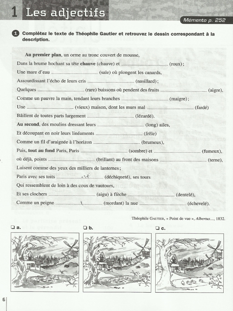 09 Exercices Adjectifs | PDF