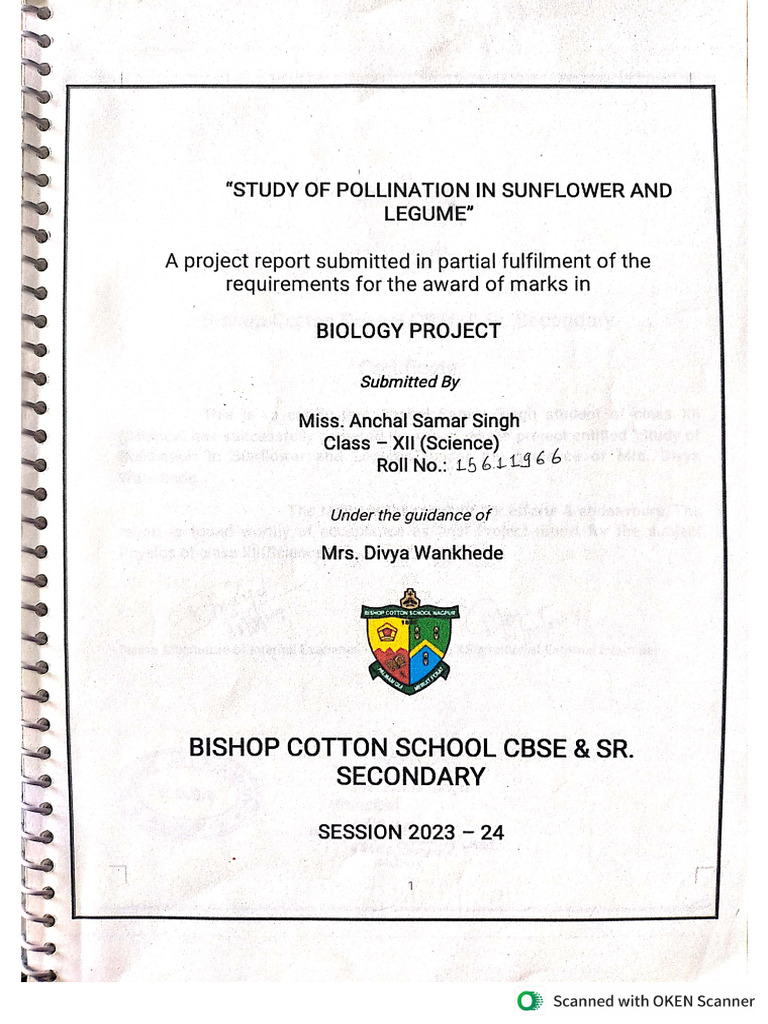 Sample Project | PDF