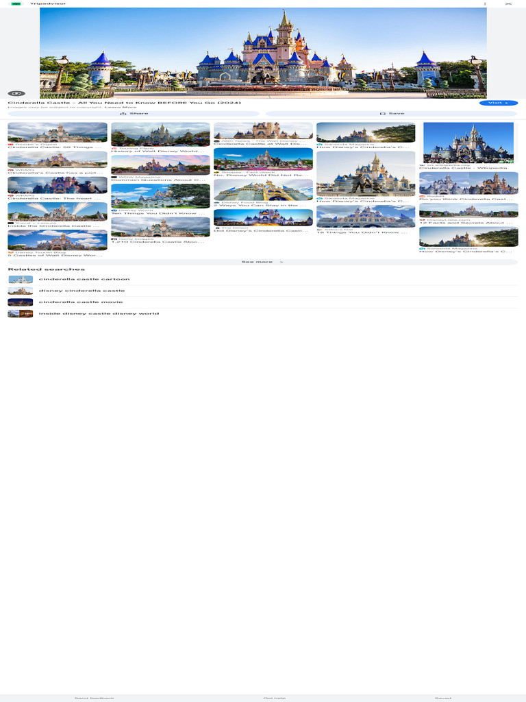 Searchhl en-US&rlz 1C9BKJA enUS1071US1071&sca Esv E00058e5af3a4bec&sca Upv 1&q Cinderella+castle ...