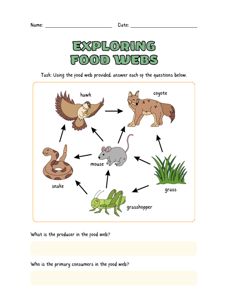 Exploring Food Webs Activity Science Worksheet in Green Brown Hand ...