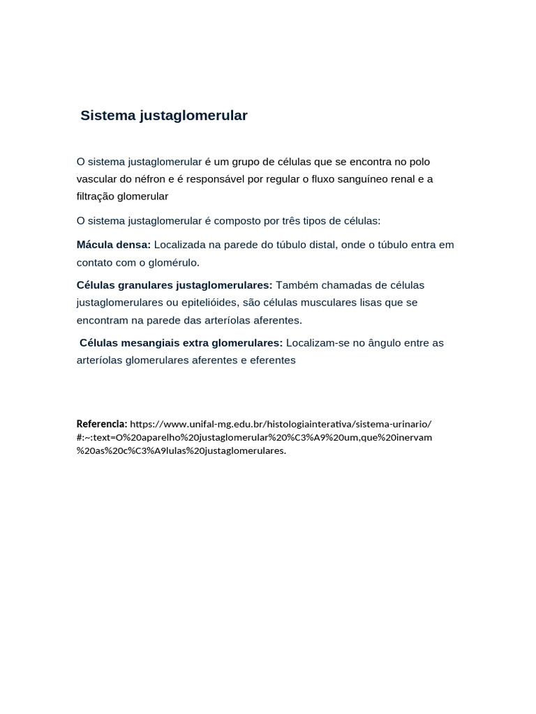 Sistema Justaglomerular | PDF