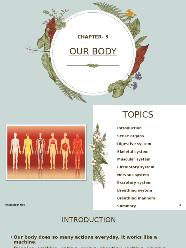Understanding Human Body Systems | PDF | Digestion | Human Digestive System