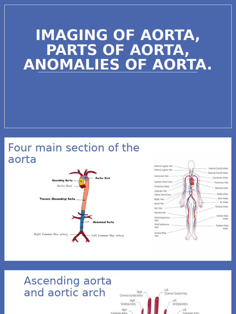 Aortic Imaging and Classification Guide | PDF