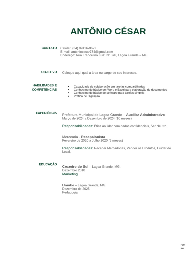 Modelo de Curriculo Antonio 2024 | PDF