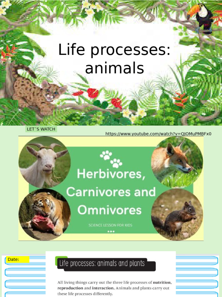Animal Life Processes Overview | PDF | Wellness | Technology & Engineering