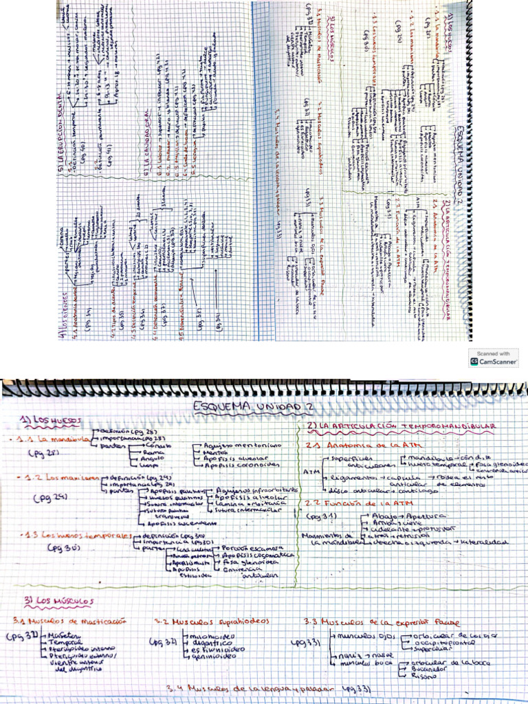 Esquema Tema 2 | PDF