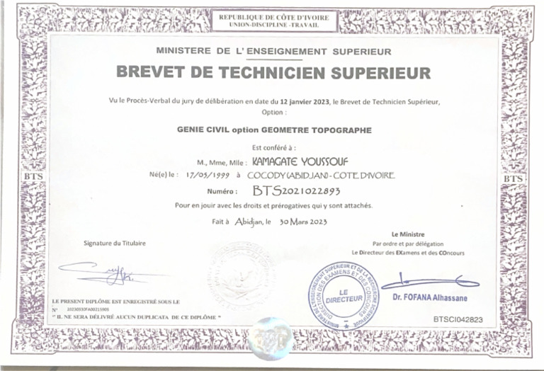 Brevet de Technicien Superieur | PDF
