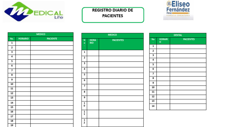 Registro Diario de Pacientes | PDF