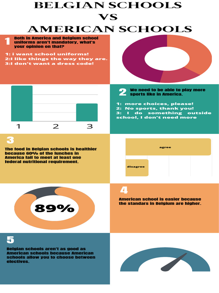 Belgian Schools Vs American Schools | PDF
