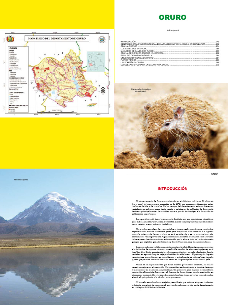 Oruro | PDF | Carne | Oveja