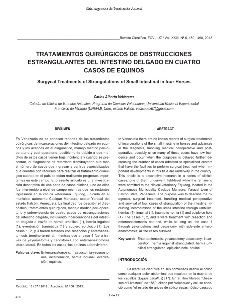 35 Obstrucciones | PDF | Tracto gastrointestinal | Isquemia