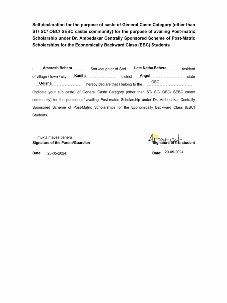 Self Declaration | PDF