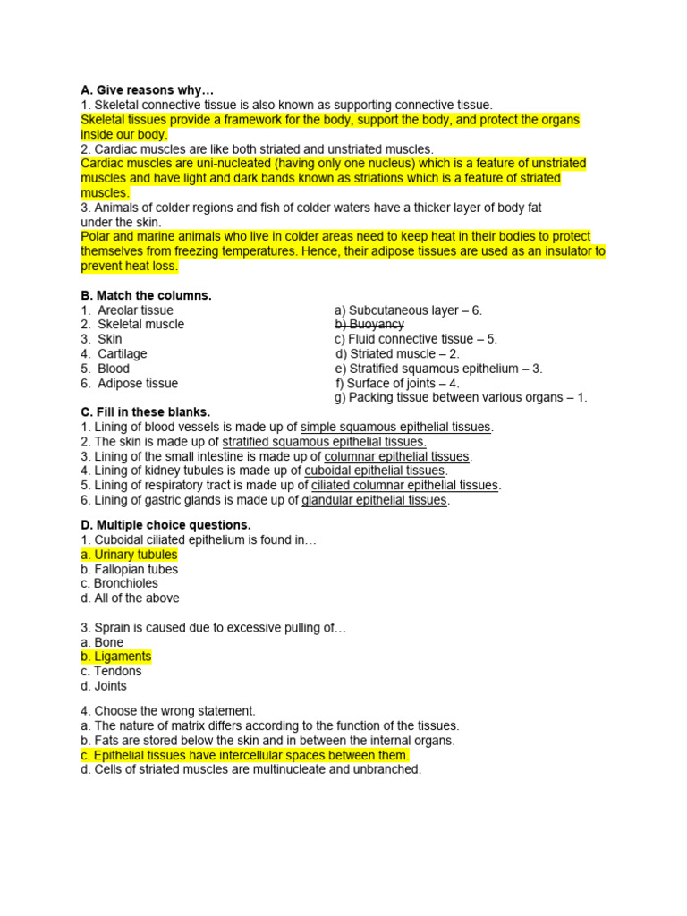 Bio Ws | PDF | Epithelium | Tissue (Biology)