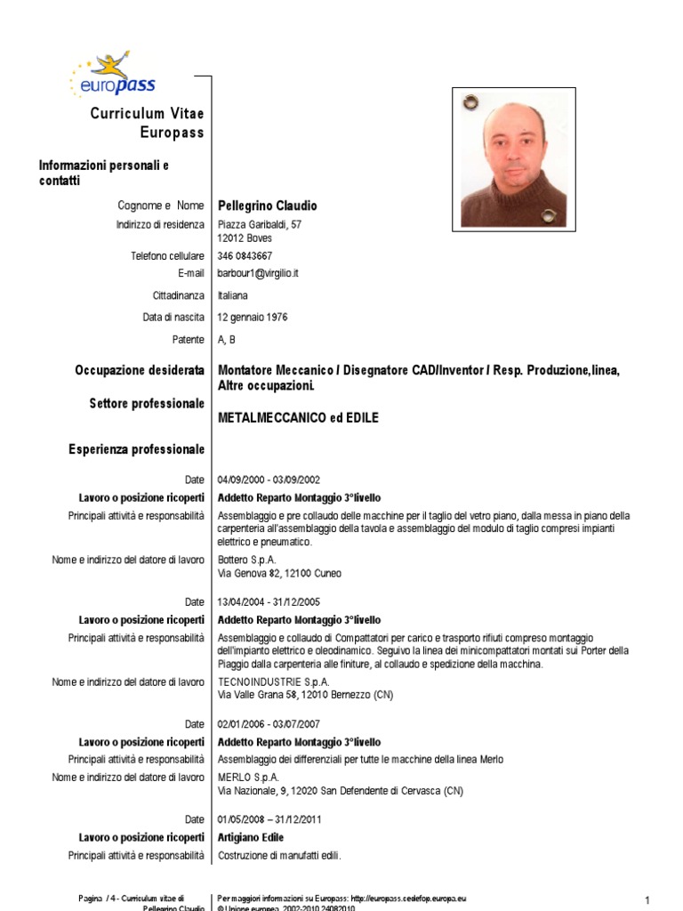 Curriculum Claudio | PDF