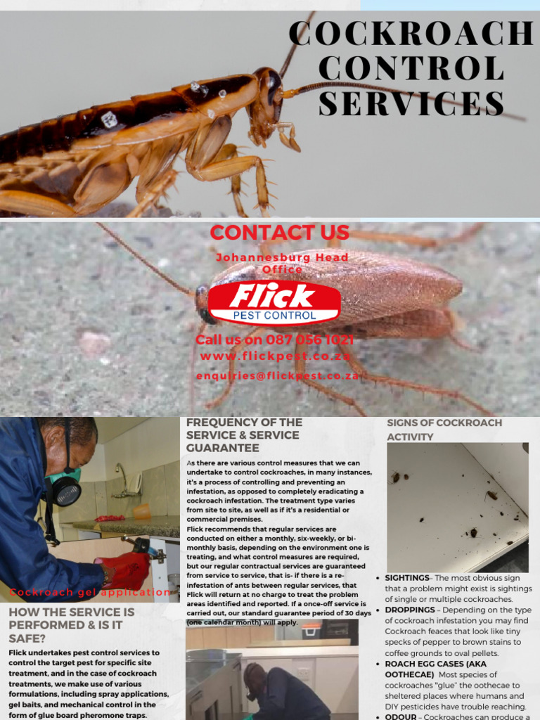 Cockroach Brochure | PDF | Pest Control | Pest (Organism)