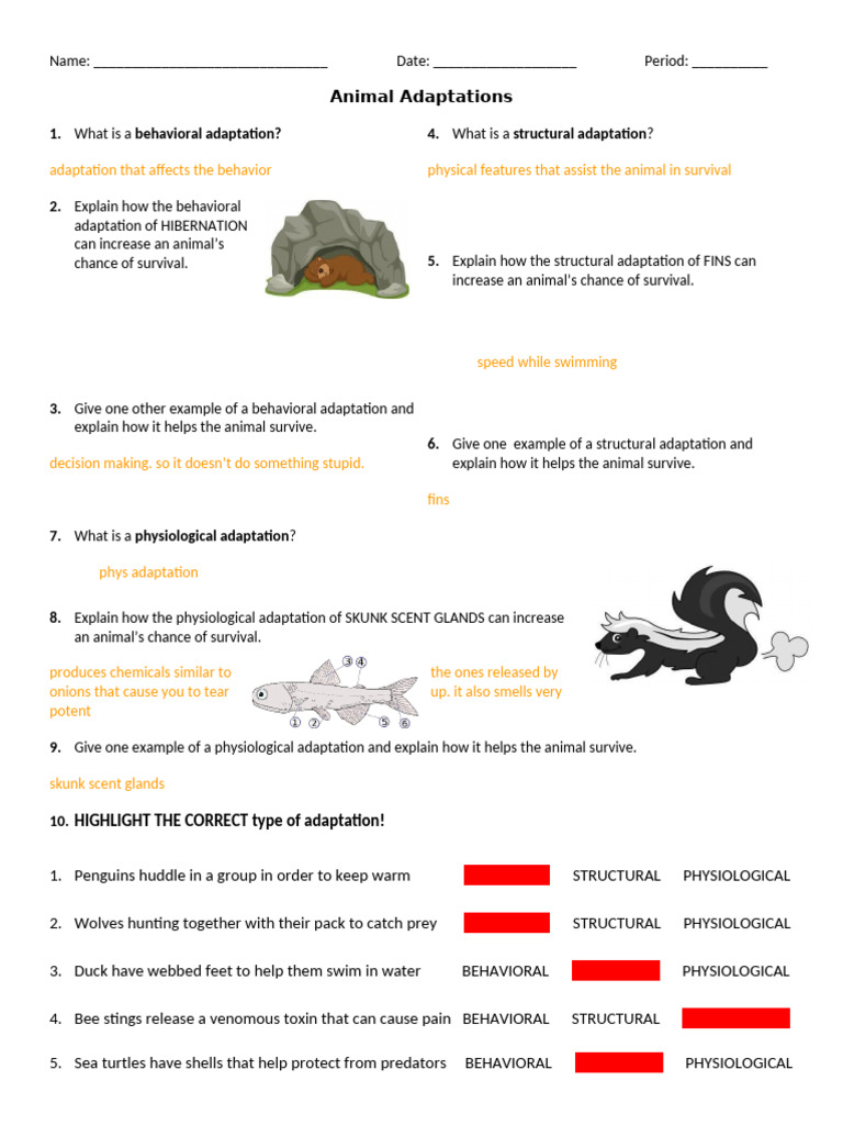 Adaptations - Extra | PDF