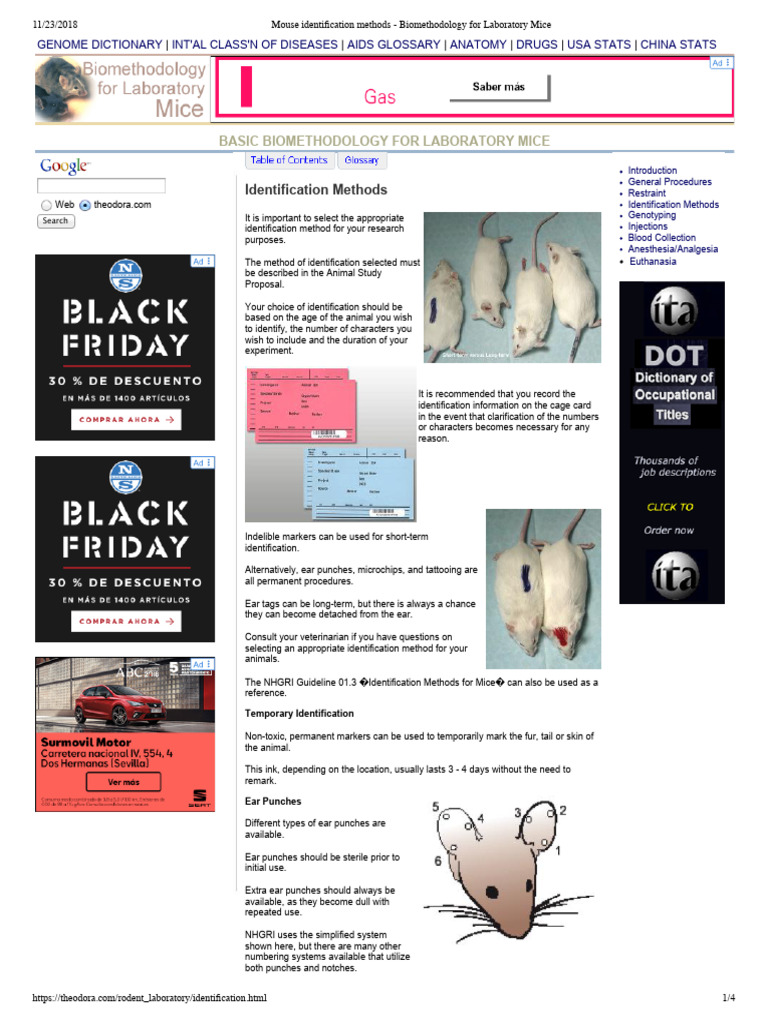 Mouse Identification Methods - Biomethodology For Laboratory Mice ...