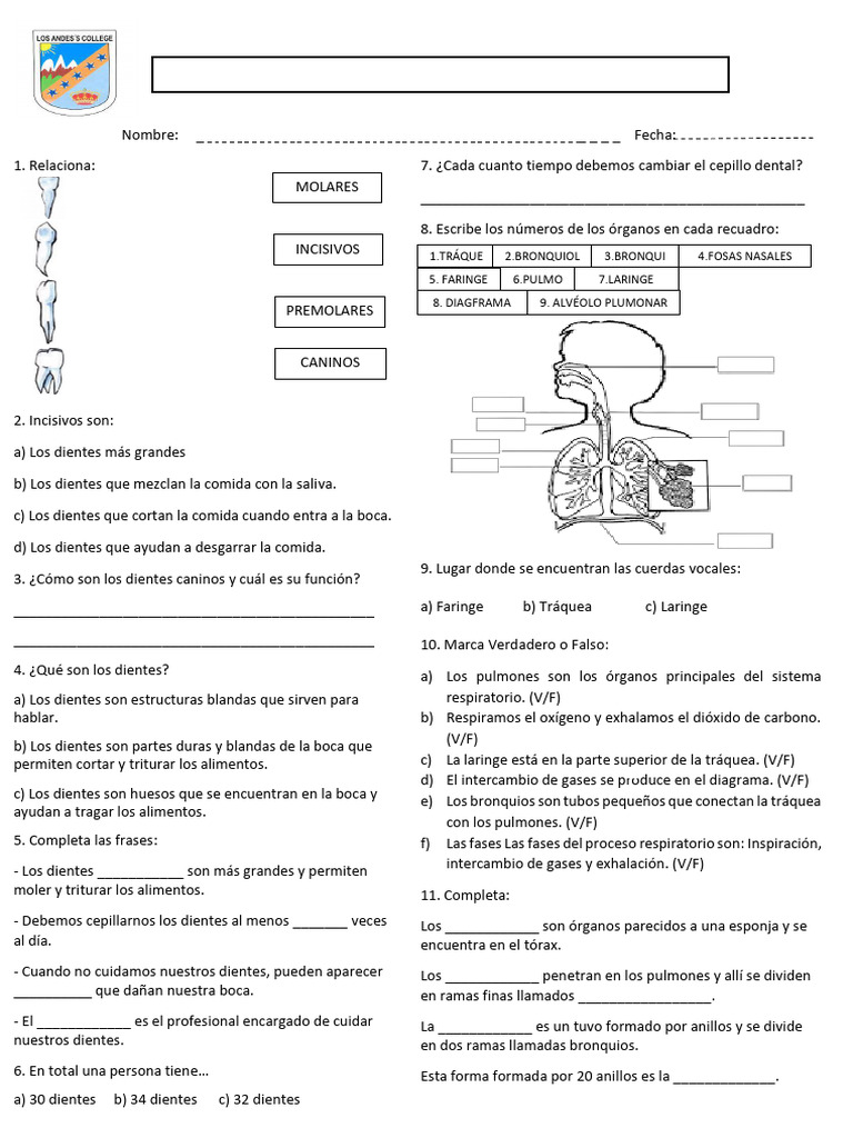 EXAMEN - CTAA Sep | PDF | Artes del Lenguaje y Comunicación | Salud y ...