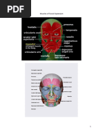 Oromotor and Cranial Nerve Assessment | PDF