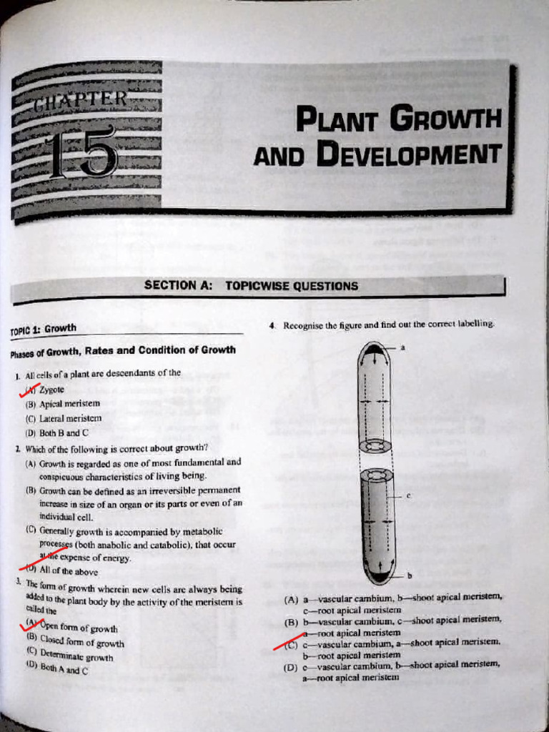 Plant Growth and Development, Extra Questions | PDF