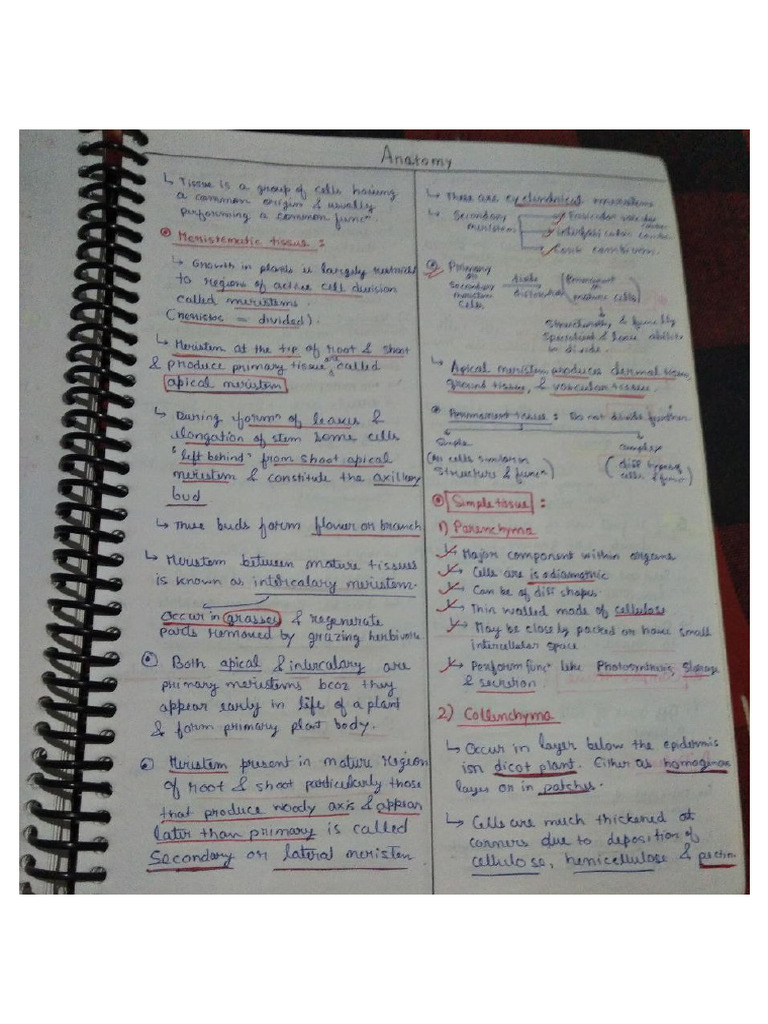 Anatomy NCERT Notes | PDF