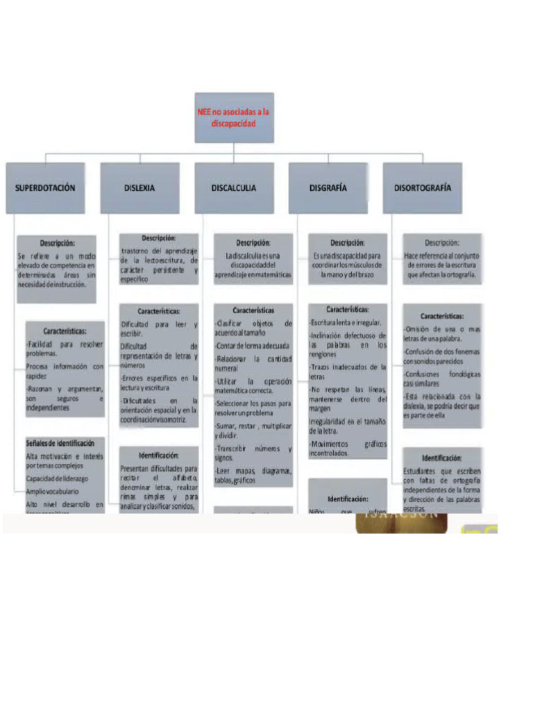 Mapa Conceptual | PDF