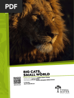 Wild Cat Family List by Lineage - Family | PDF | Felidae | Panthera