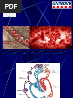 Classificacao Fragilidade Do Idoso - Fried | PDF | Medicina Clínica ...