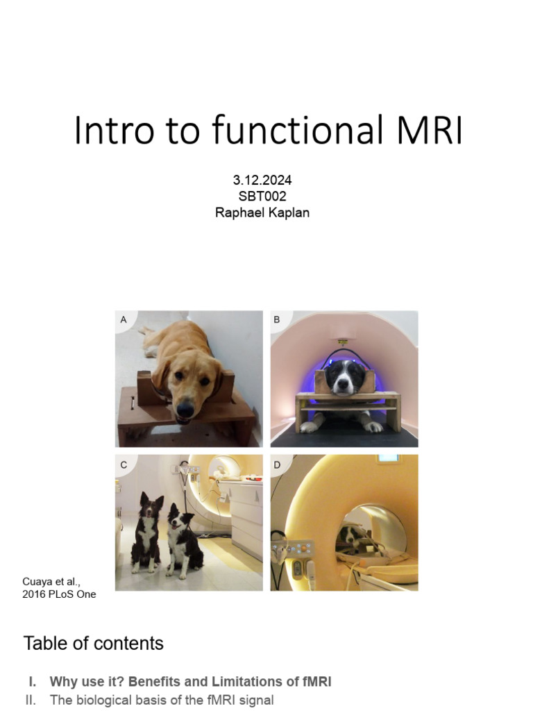 3 12 2024IntroToFunctionalMRI | PDF | Functional Magnetic Resonance ...