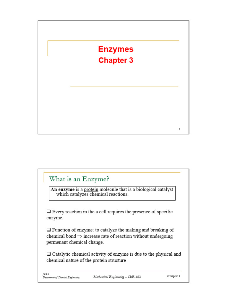 Biochem Ch3 Enzymes | PDF | Enzyme | Catalysis