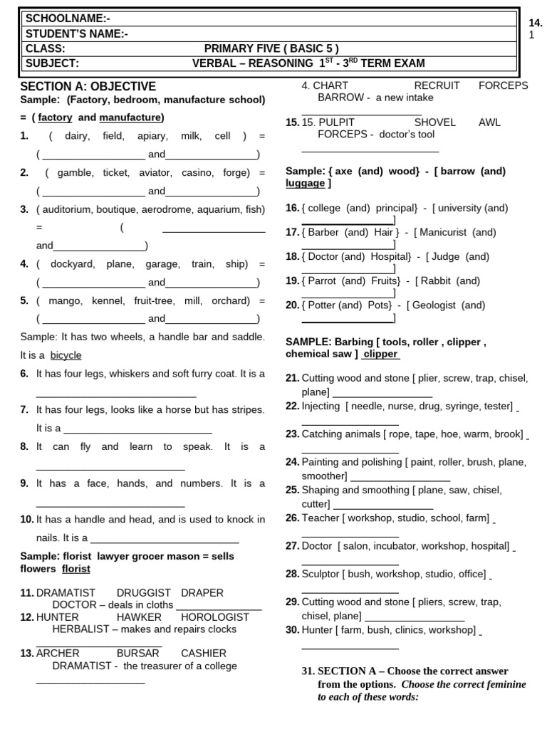 Verbal Reasoning for Primary 5 Exam | PDF