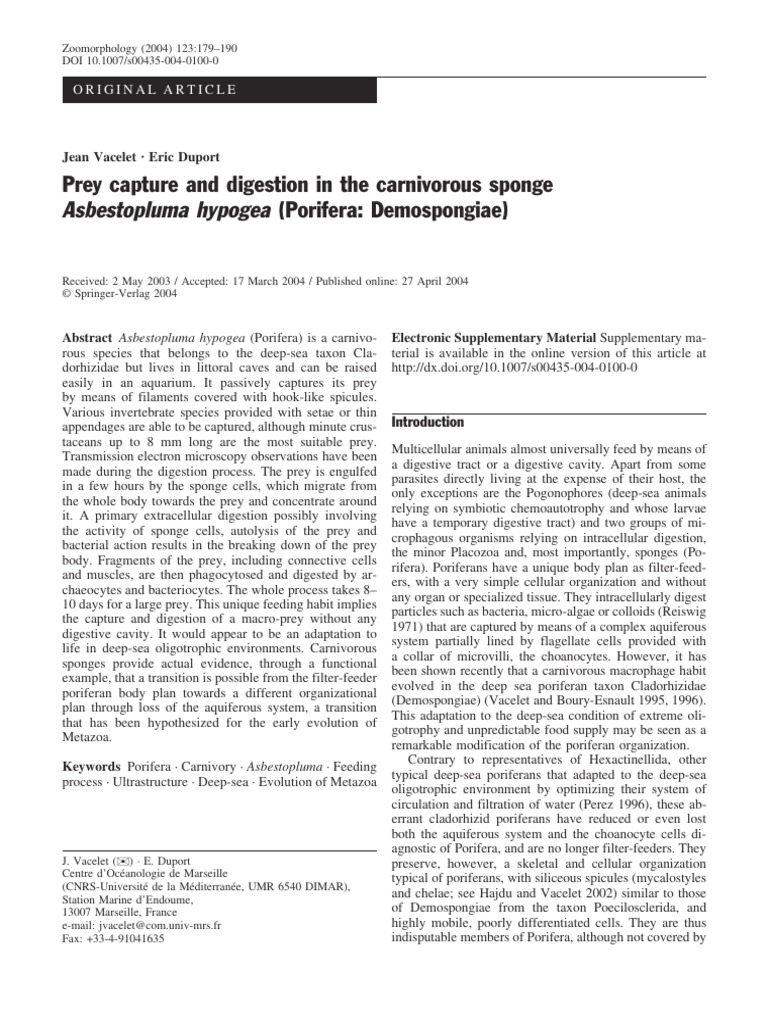 Vacelet - Duport (2004) Prey Capture and Digestion in The Carnivorous ...