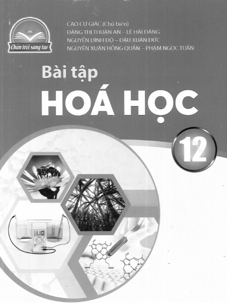 Hoa 12 - CTST - SBT | PDF