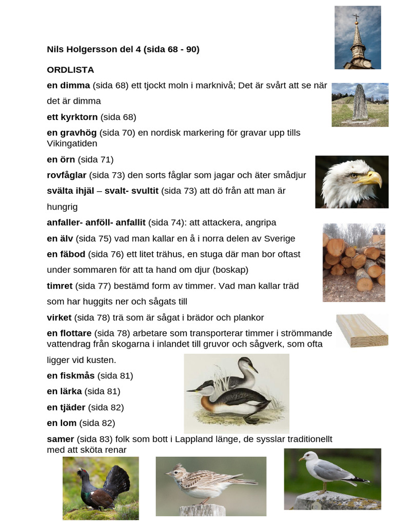 Nils Holgersson Del 4 | PDF