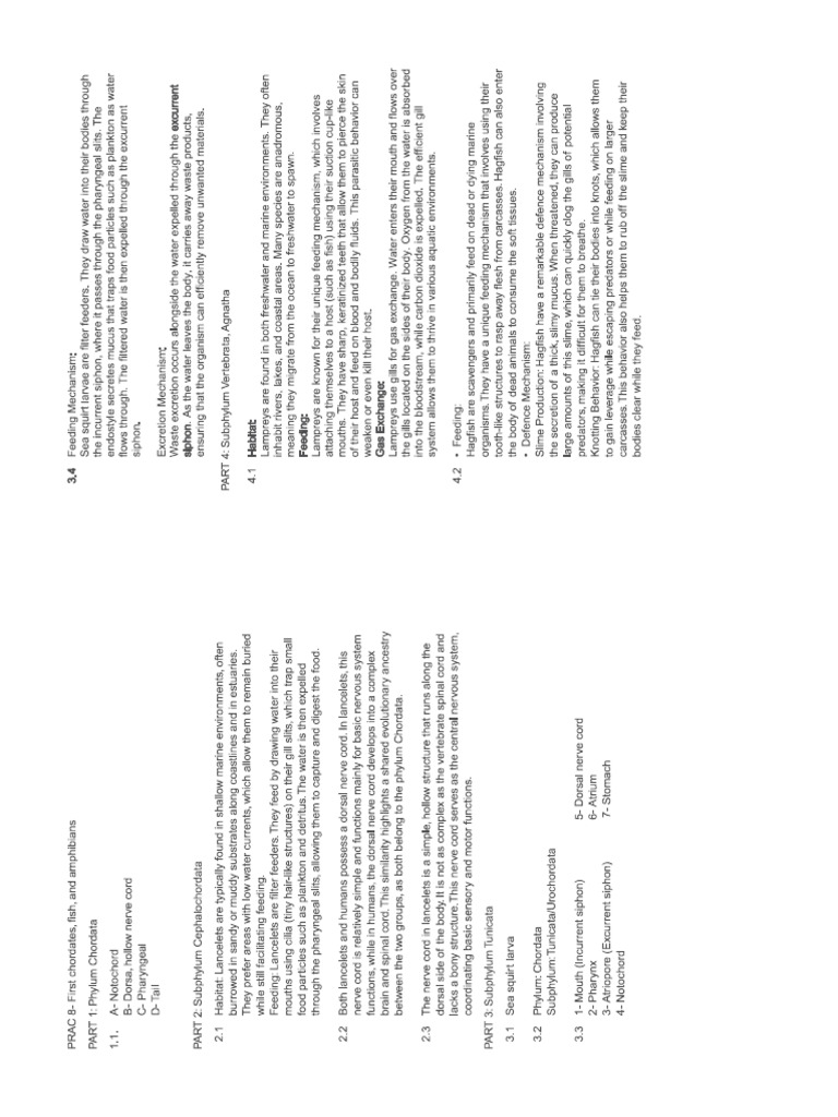 Prac 8 Report SP | PDF