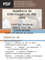 Consulta Pre-Natal | PDF | Gravidez | Especialidades médicas