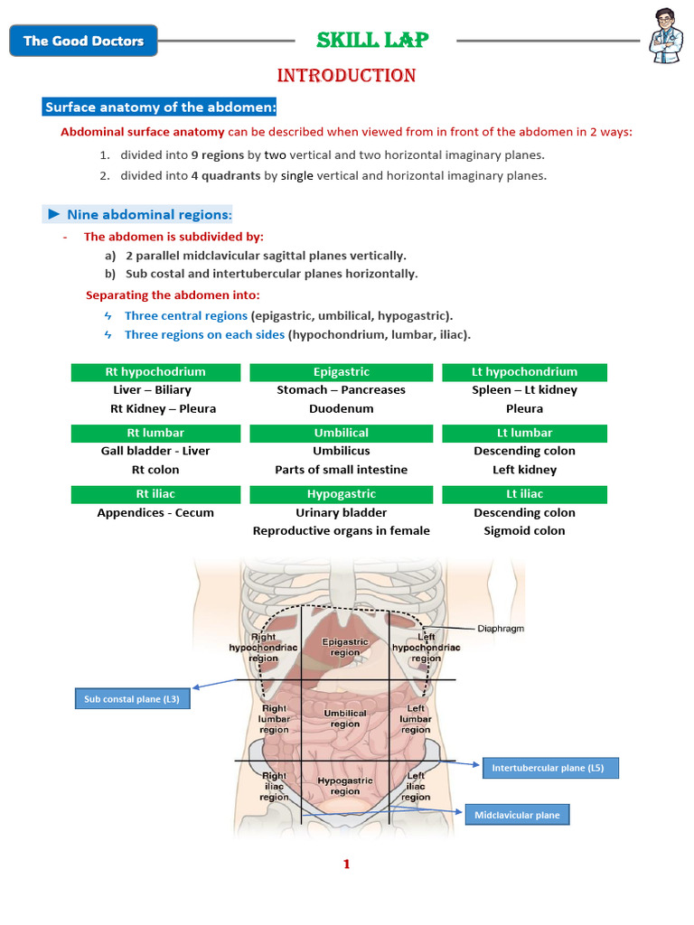 History (Skill Lap) by The Good Doctors | PDF