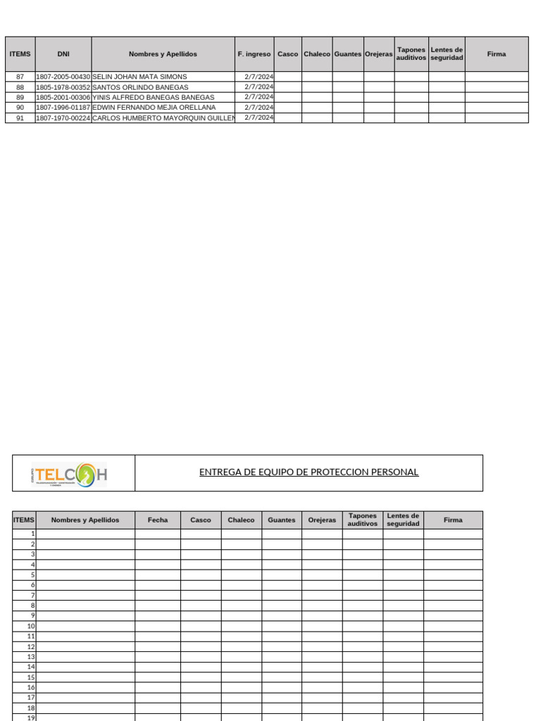 Cuadro de Entrega de Epp | PDF