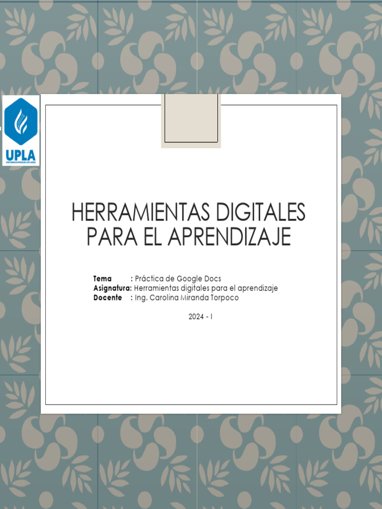 Practica Procesamiento de Informacion Google Docs - 2 | PDF